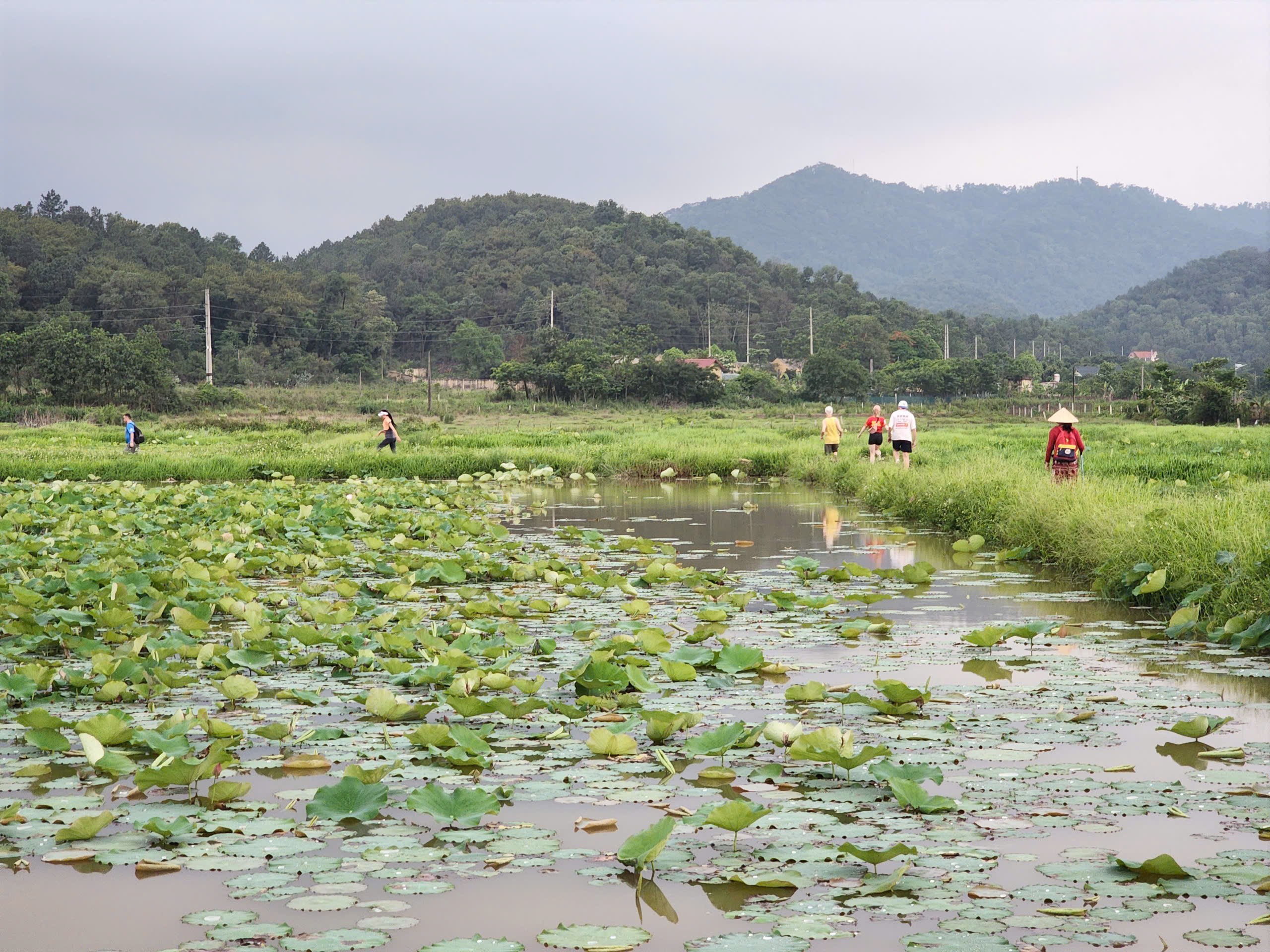 Runs Hash Flash – Hanoi Hash House Harriers